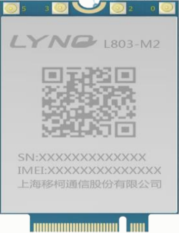 L803 - 深圳掌芯物联科技有限公司